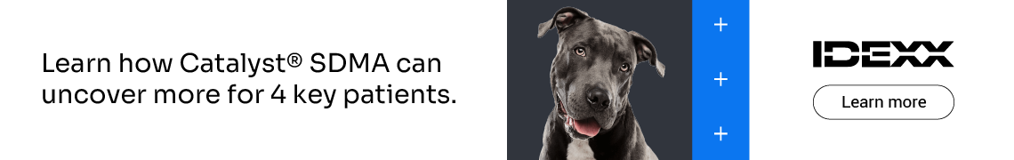Vetscape Animal Hospital | Veterinary.co.za