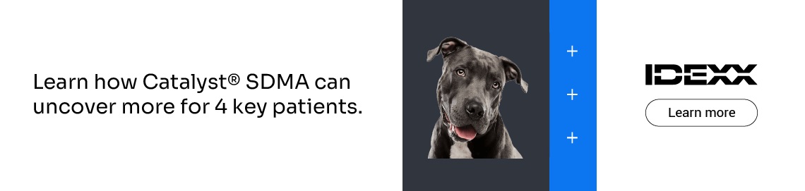 Homepage | Veterinary.co.za