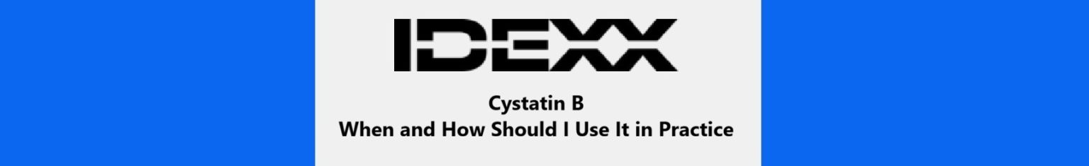 IDEXX | The Saxon Series - Cystatin B: When and How Should I Use It in ...